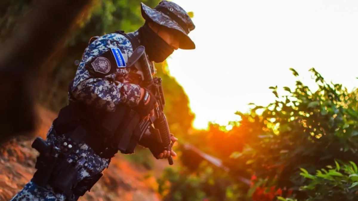 Plan Control Territorial y régimen de excepción acumulan 137 días sin ...